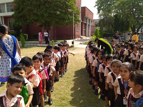 Apeejay School, Noida: Fees, Reviews, Admission 2026