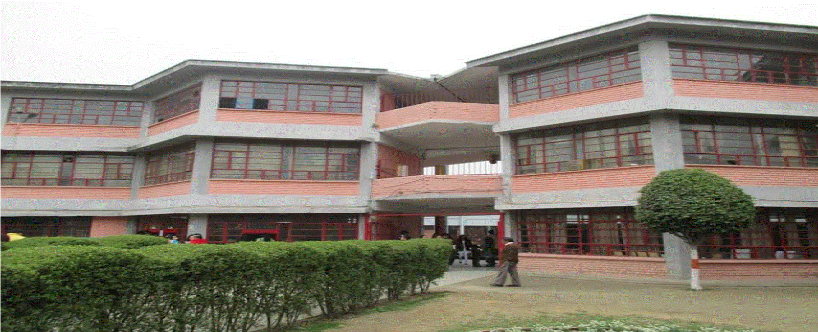 Apeejay School, Noida: Fees, Reviews, Admission 2026