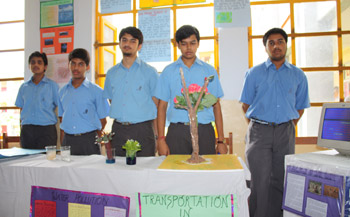 Apeejay School, Panchsheel Park: Fees, Reviews, Admission 2026