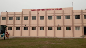 Falcon International School, NA: Fees, Reviews, Admission 2026