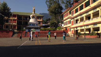 Sambhota Tibetan School, Mandi: Fees, Reviews, Admission 2026