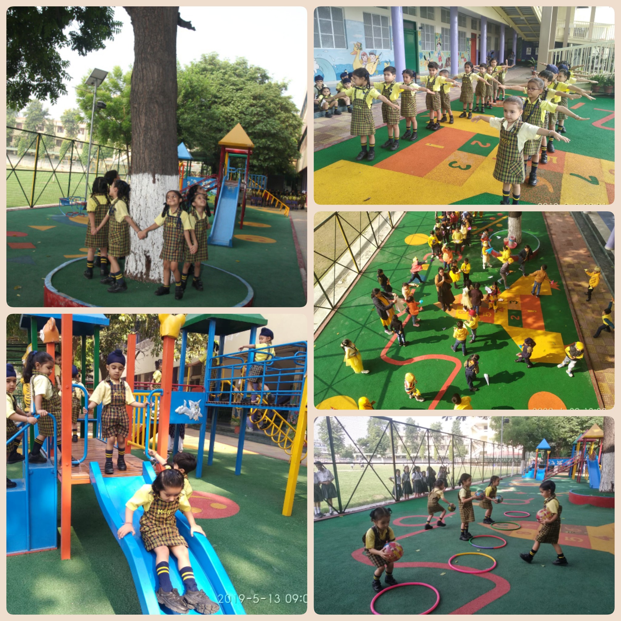 MGN Public School, : Fees, Reviews, Admission 2026