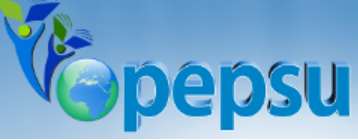 Pepsu International Public School, NA: Fees, Reviews, Admission 2026