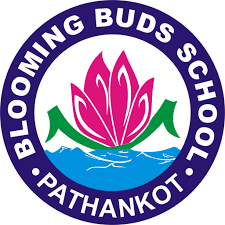 Blooming Buds Academy, na: Fees, Reviews, Admission 2026